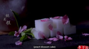 All You Want to Know about Li Ziqi (李子柒)